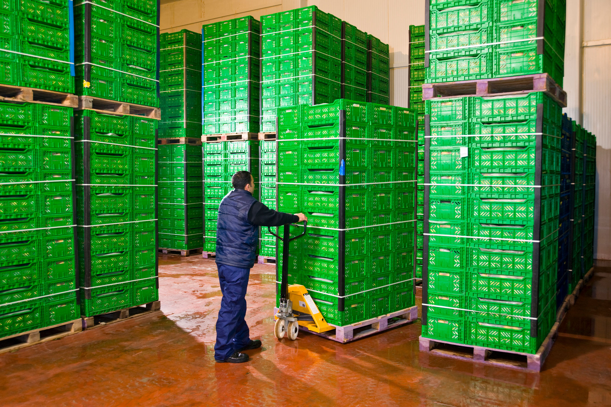 Automated Cold Storage Tips | Moffett Automation